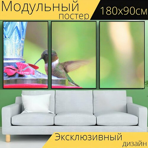 Модульный постер "Птица, колибри, красочный" 180 x 90 см. для интерьера