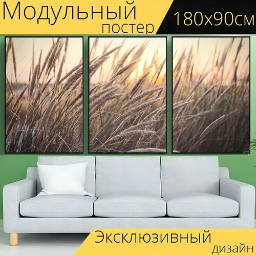 Модульный постер "Дюны, трава, пляж" 180 x 90 см. для интерьера