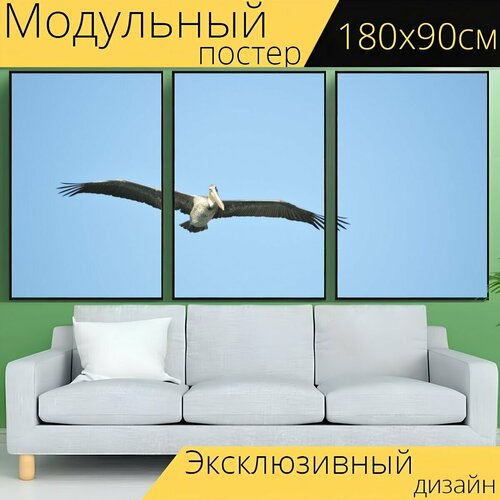 Модульный постер "Птица, пеликан, пик" 180 x 90 см. для интерьера