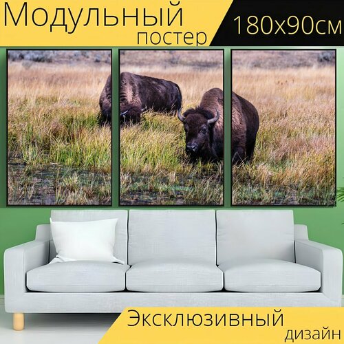 Модульный постер "Зубр, буйволы, животное" 180 x 90 см. для интерьера