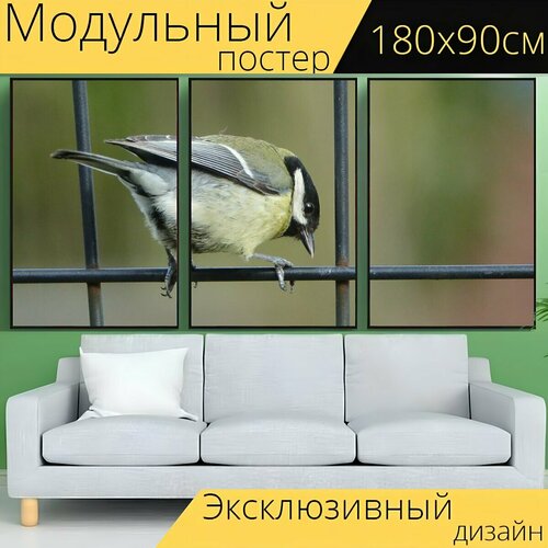 Модульный постер "Птица, фауна, природа" 180 x 90 см. для интерьера