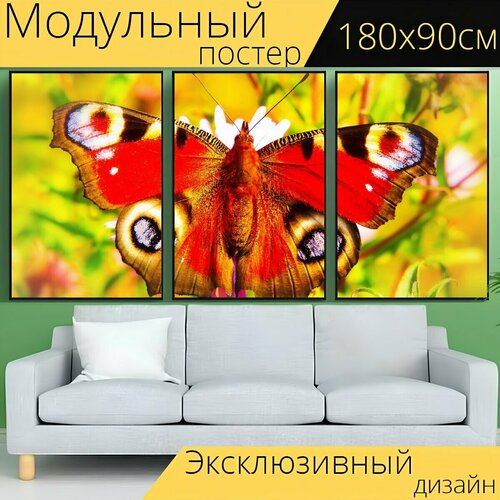 Модульный постер "Фея павлин, насекомое, бабочки дневные" 180 x 90 см. для интерьера