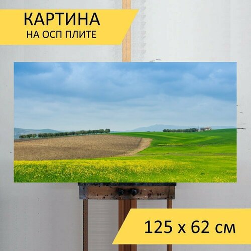 Картина на ОСП 125х62 см. "Пейзаж, небо, природа" горизонтальная, для интерьера, с креплениями