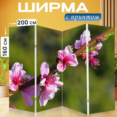Ширма перегородка с принтом "Персик, цветы, весна" на холсте - 200x160 см. для зонирования, раскладная