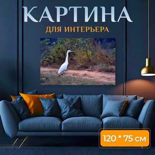 Картина на холсте "Цапля, птица, природа" на подрамнике 120х75 см. для интерьера