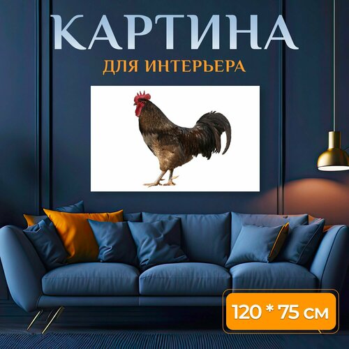 Картина на холсте "Курица, петух, птица" на подрамнике 120х75 см. для интерьера