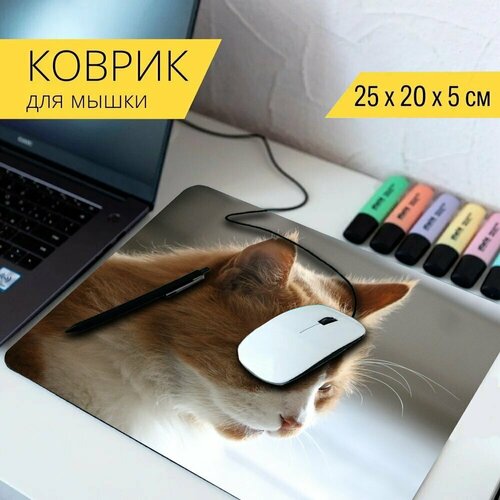 Коврик для мыши с принтом "Кошка, маленький, милый" 25x20см.