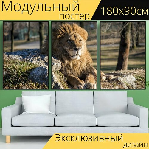 Модульный постер "Лев, животное, дикий" 180 x 90 см. для интерьера