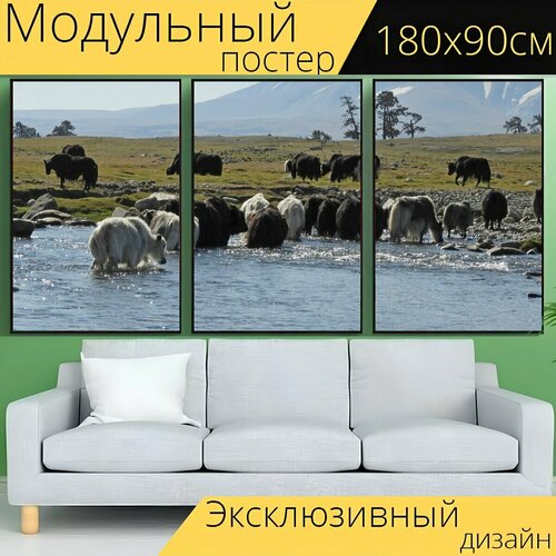 Модульный постер "Монголия, яки, лето" 180 x 90 см. для интерьера