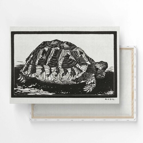 Картина на холсте, репродукция / Джули де Грааг - Turtle / Размер 40 x 53 см