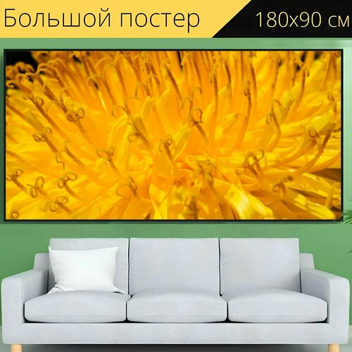 Большой постер "Желтый, одуванчик, цветок" 180 x 90 см. для интерьера