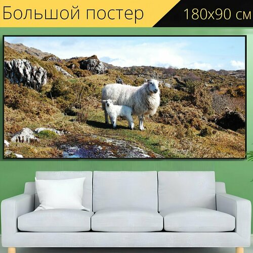 Большой постер "Ягненок, овец, животные" 180 x 90 см. для интерьера
