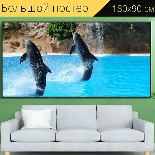 Большой постер "Дельфин, пруд, животное" 180 x 90 см. для интерьера