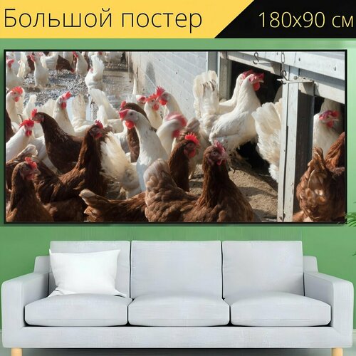 Большой постер "Курица, птицефабрики, свободный ход" 180 x 90 см. для интерьера