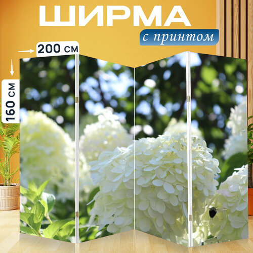 Ширма перегородка с принтом "Теги цветы, гортензия, блум" на холсте - 200x160 см. для зонирования, раскладная