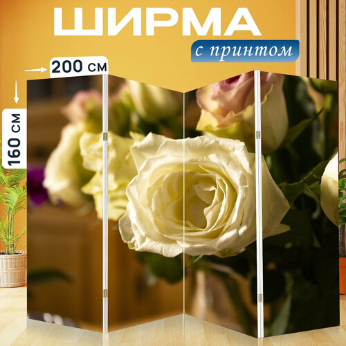 Ширма перегородка с принтом "Роза, цветок, ваза" на холсте - 200x160 см. для зонирования, раскладная