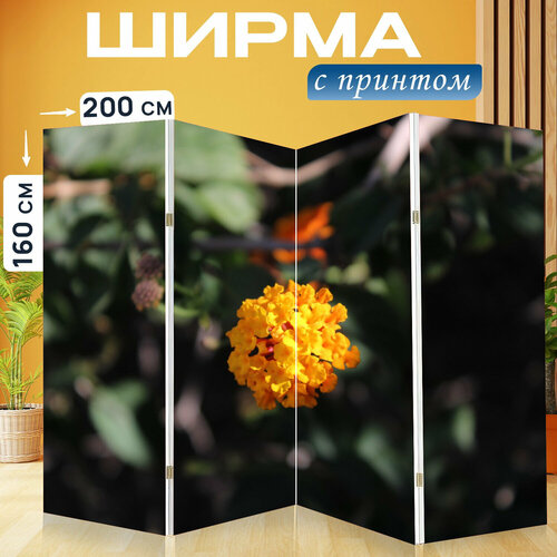 Ширма перегородка с принтом "Цветы, цветок, желтый" на холсте - 200x160 см. для зонирования, раскладная