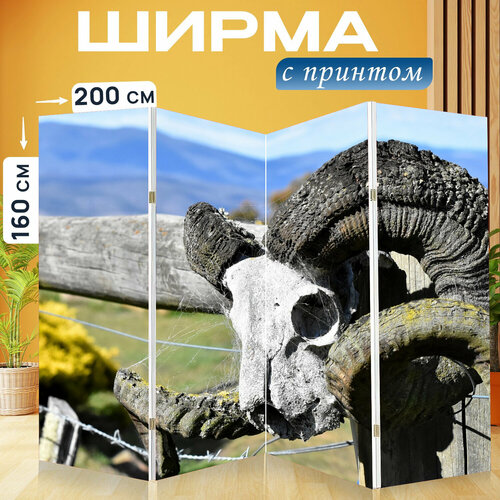 Ширма перегородка с принтом "Ферма, череп, озу" на холсте - 200x160 см. для зонирования, раскладная