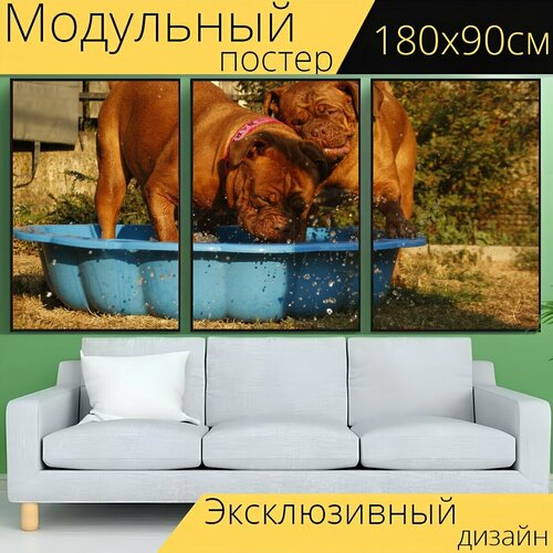 Модульный постер "Собака, большая собака, щенок" 180 x 90 см. для интерьера