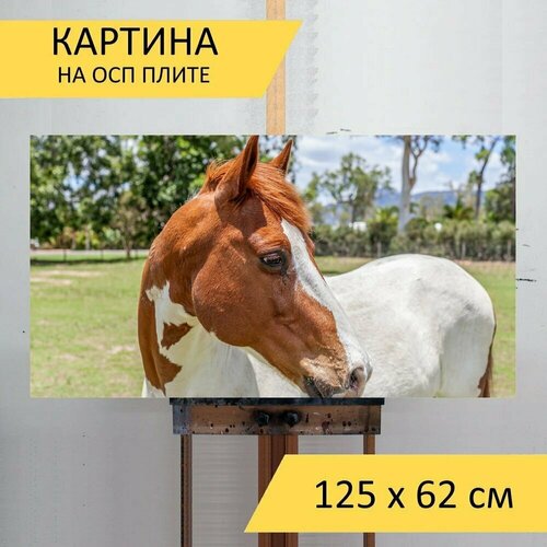 Картина на ОСП 125х62 см. "Лошадь, краска лошадь, животное" горизонтальная, для интерьера, с креплениями