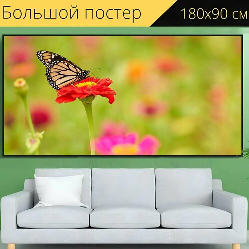 Большой постер "Монарх, бабочка, цветок" 180 x 90 см. для интерьера