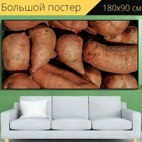 Большой постер "Сладкая картошка, картошка, здоровый" 180 x 90 см. для интерьера