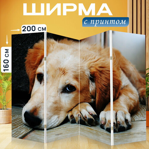 Ширма перегородка с принтом "Собака, домашний питомец, щенок" на холсте - 200x160 см. для зонирования, раскладная