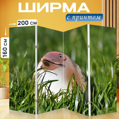 Ширма перегородка с принтом "Птица, керамическая, фигурка" на холсте - 200x160 см. для зонирования, раскладная