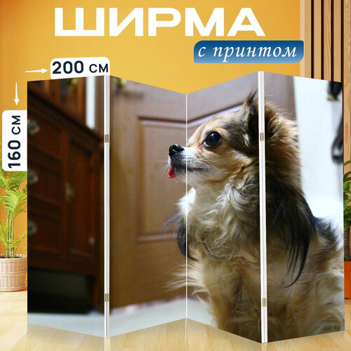 Ширма перегородка с принтом "Милый, домашний питомец, собака" на холсте - 200x160 см. для зонирования, раскладная