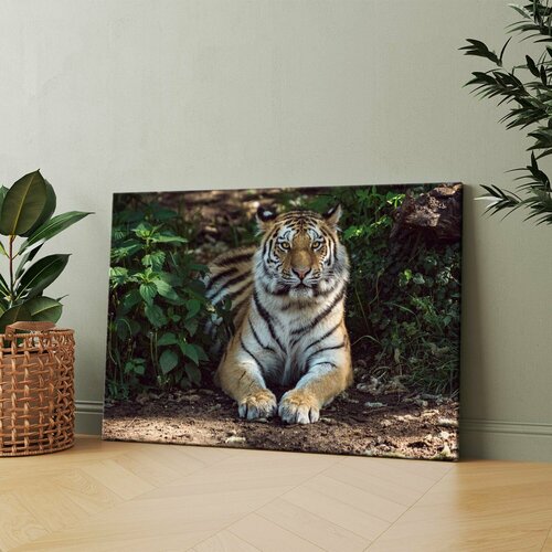Картина на холсте (Величественный тигр) 60x80 см. Интерьерная, на стену.