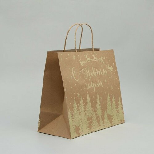 Пакет подарочный крафтовый Snow, 32 × 28 × 15 см
