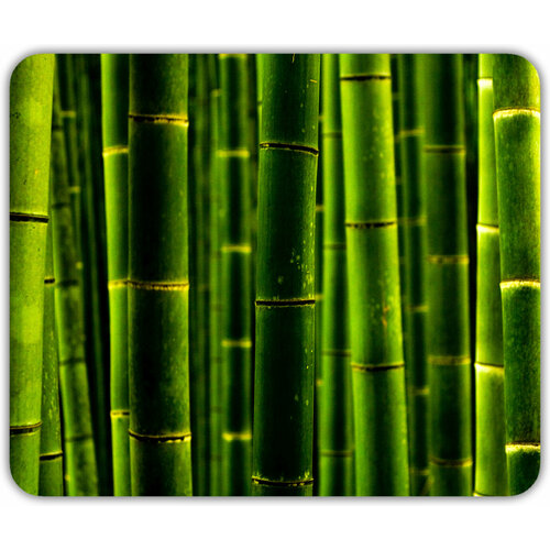 Коврик для мыши "Зеленый бамбук" (24 x 20 см x 3 мм)