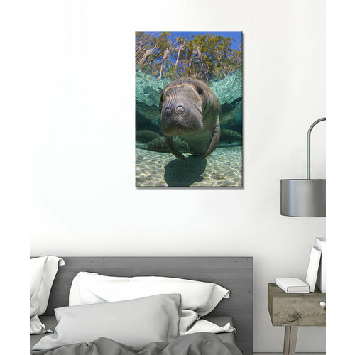Картина - Ламантин, морская корова, ламантин в воде (9) 50х70