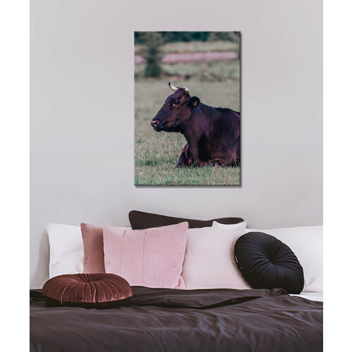 Картина -Корова, черная корова, бык, рогатая корова (5) 60х80