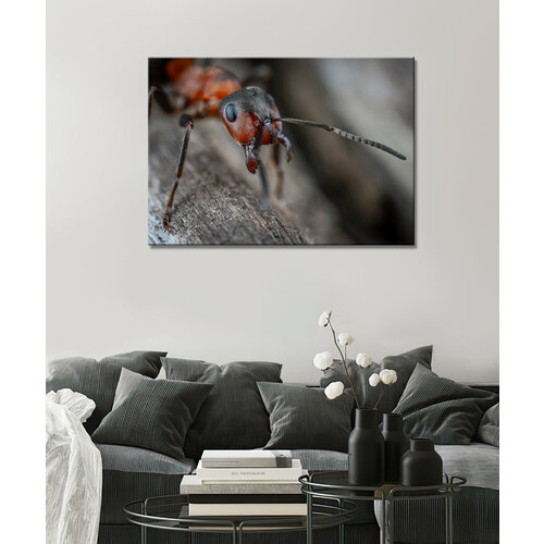 Картина -Муравей, муравей макро, муравей близко (23) 60х80