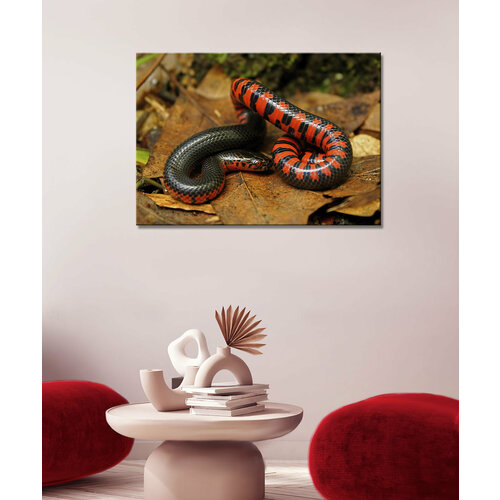 Картина - змея, маленькая змея, чёрная змея с красными пятнами, змея извивается (96) 20х30