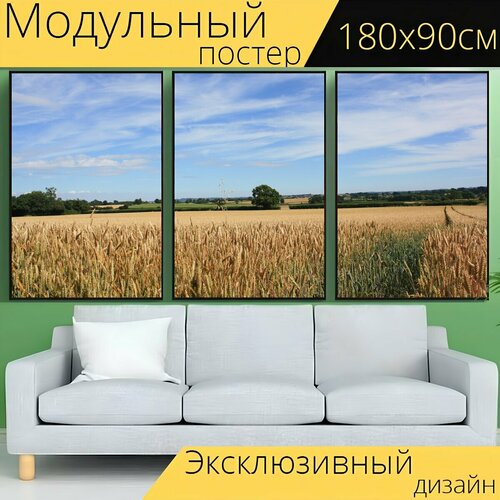 Модульный постер "Поле, уборка урожая, пшеница" 180 x 90 см. для интерьера