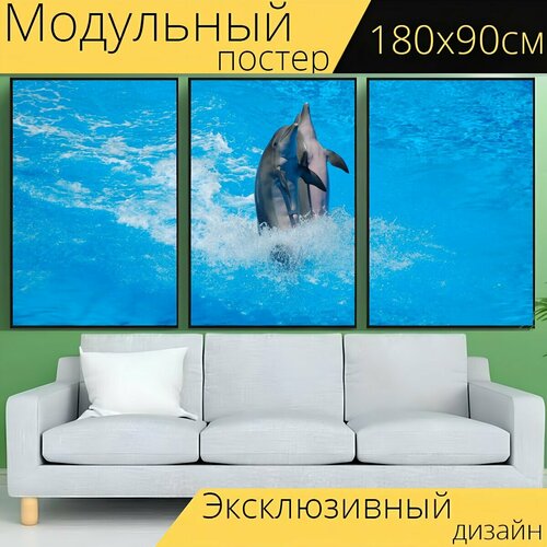 Модульный постер "Дельфины, плавательный, водоем" 180 x 90 см. для интерьера