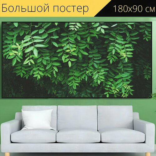 Большой постер "Листья, свежий, джунгли" 180 x 90 см. для интерьера