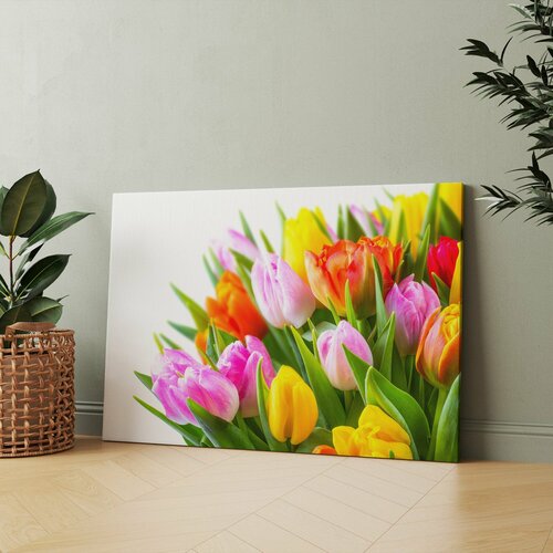 Картина на холсте "Букет разноцветных тюльпанов на белом фоне" 80x100 см. Интерьерная, на стену.