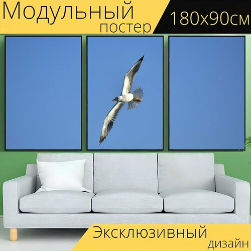Модульный постер "Птицы, чайка, дорогой" 180 x 90 см. для интерьера