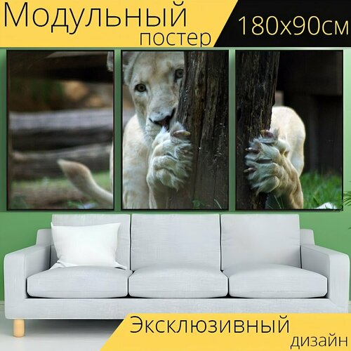 Модульный постер "Лев, большой кот, хищник" 180 x 90 см. для интерьера