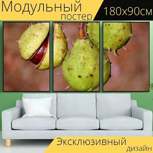 Модульный постер "Каштаны, фрукты, падение" 180 x 90 см. для интерьера