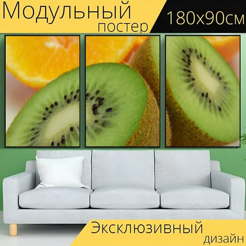 Модульный постер "Киви, фрукты, деталь" 180 x 90 см. для интерьера