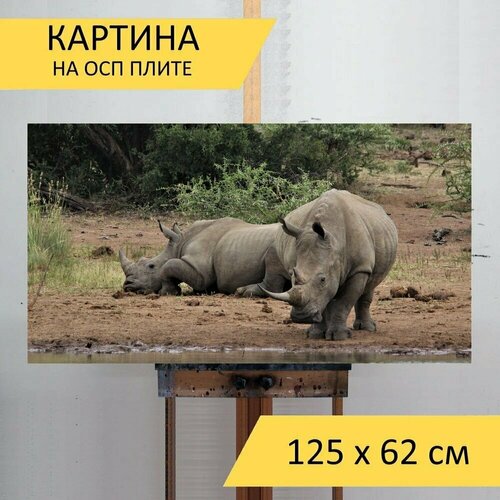 Картина на ОСП 125х62 см. "Носорог, африканец, белый носорог" горизонтальная, для интерьера, с креплениями
