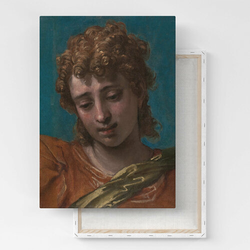 Картина на холсте, репродукция / Паоло Веронезе - Head of Saint Michael / Размер 40 x 53 см