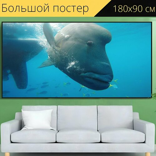 Большой постер "Рыбы, подводный, вода" 180 x 90 см. для интерьера