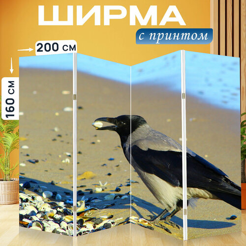 Ширма перегородка с принтом "Птица, ворона, песок" на холсте - 200x160 см. для зонирования, раскладная