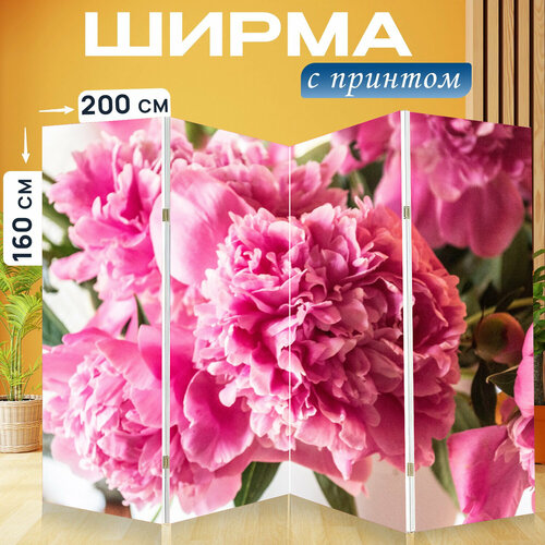 Ширма перегородка с принтом "Цветы, розовый, цвет" на холсте - 200x160 см. для зонирования, раскладная