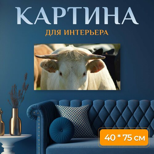 Картина на холсте "Корова, поле, крупного рогатого скота" на подрамнике 75х40 см. для интерьера